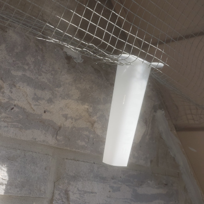 Bat Control Cambridge | Bat Removal Cambridge | Wildlife Shield